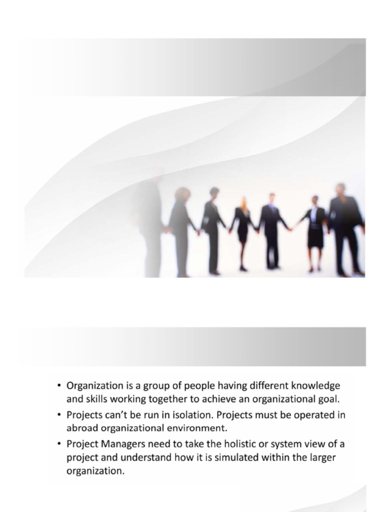 2 - Project Organization | PDF | Project Management | Business