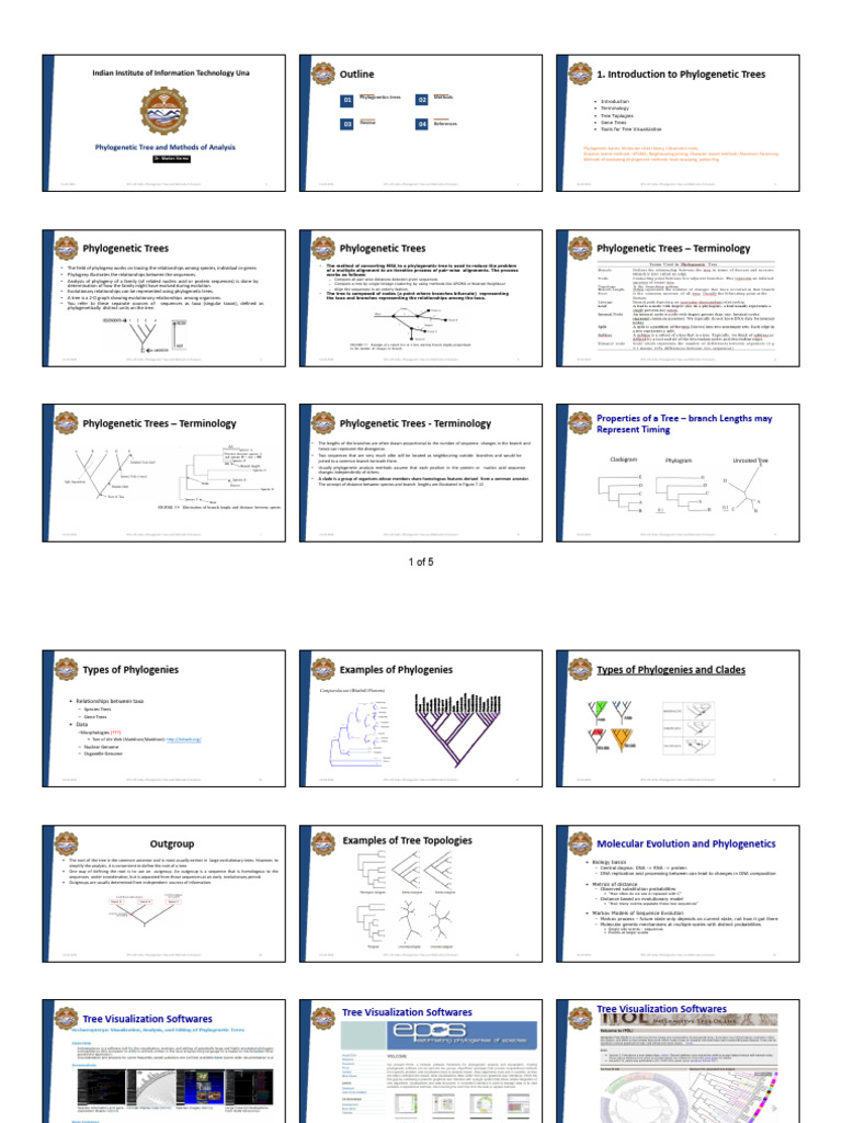 IIITU-U3-Phylogenetic Trees..Total Slides 5 | PDF | Phylogenetic Tree ...