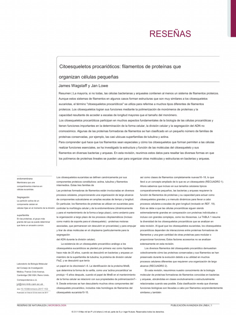 Citoesqueletos procarióticos: funciones y estructuras | PDF ...