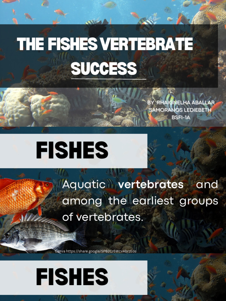 Fish 20250907 203525 0000 | PDF | Fish | Vertebrates
