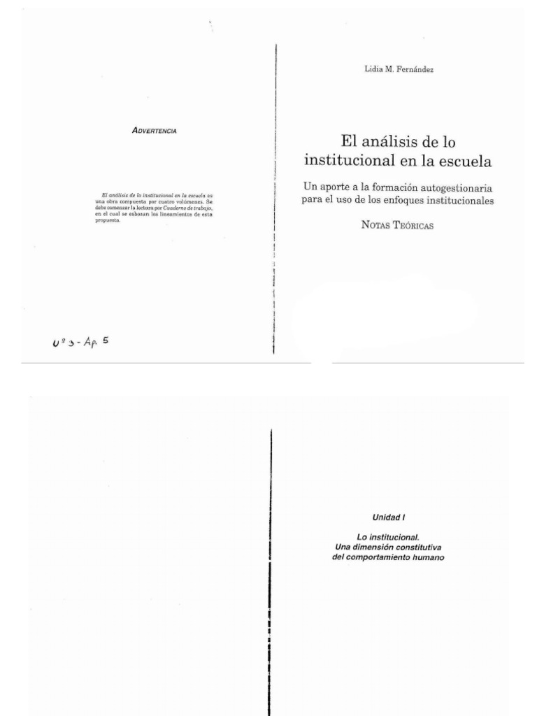 Capítulo 1 y 4 de Lidia Fernandez | PDF