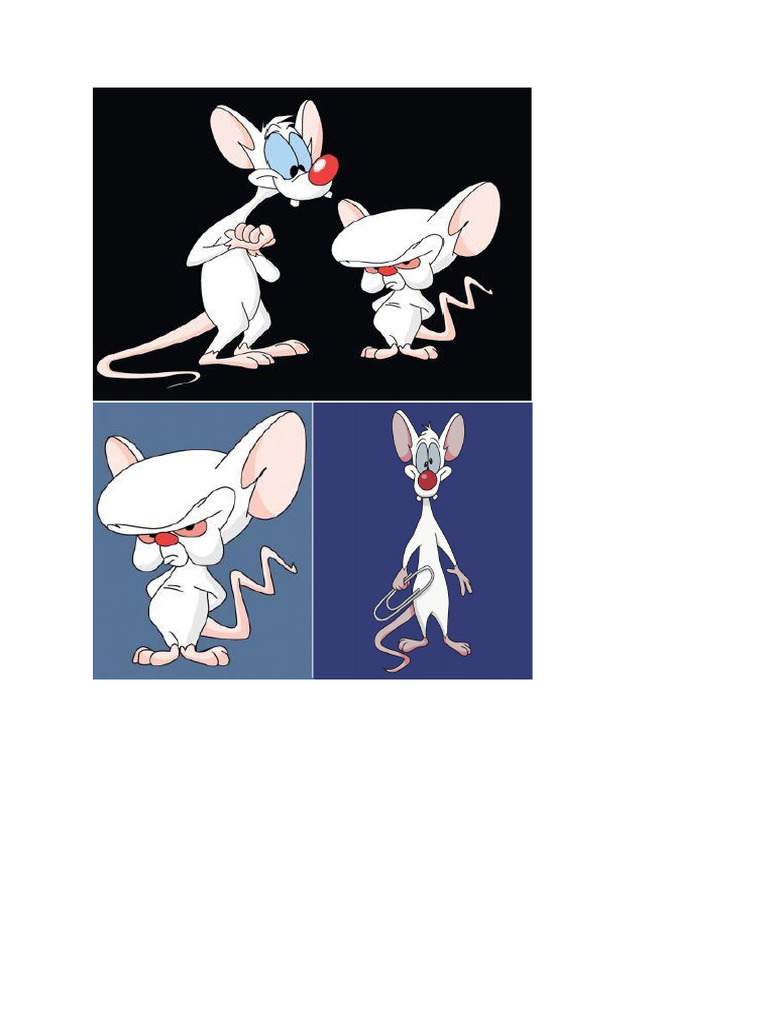 Pinky e o Cerebro | PDF