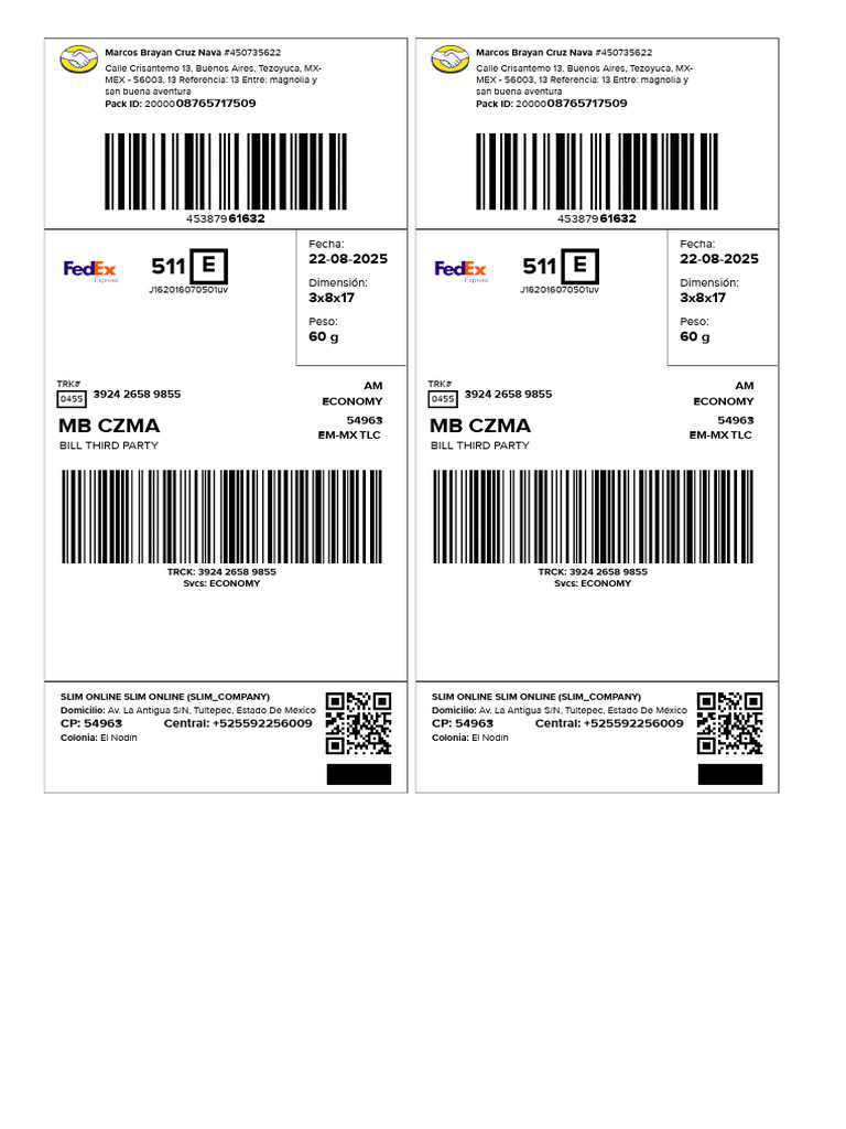 Shipment Labels 250825151229 031638 | PDF