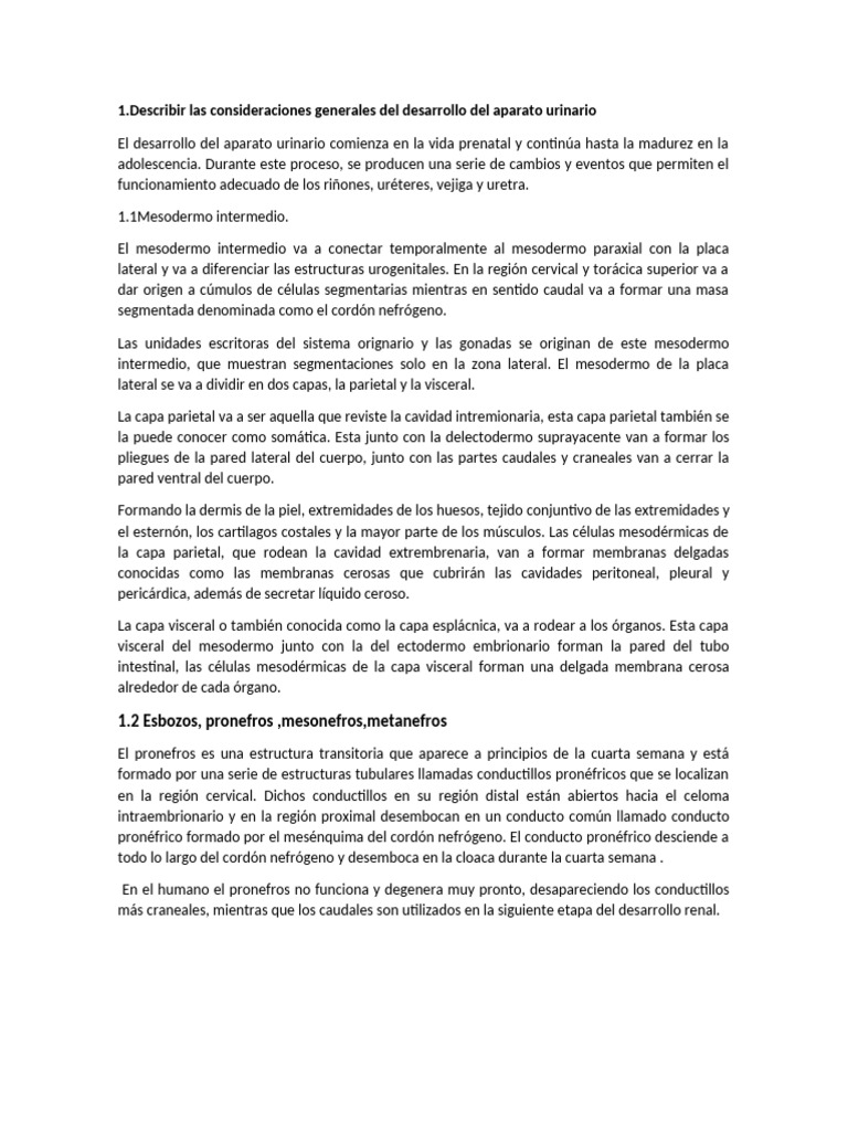 Pronefros | PDF | Riñón | Sistema urinario