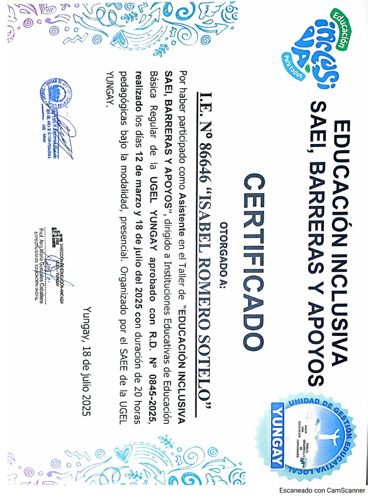 Capacitacion Saei | PDF