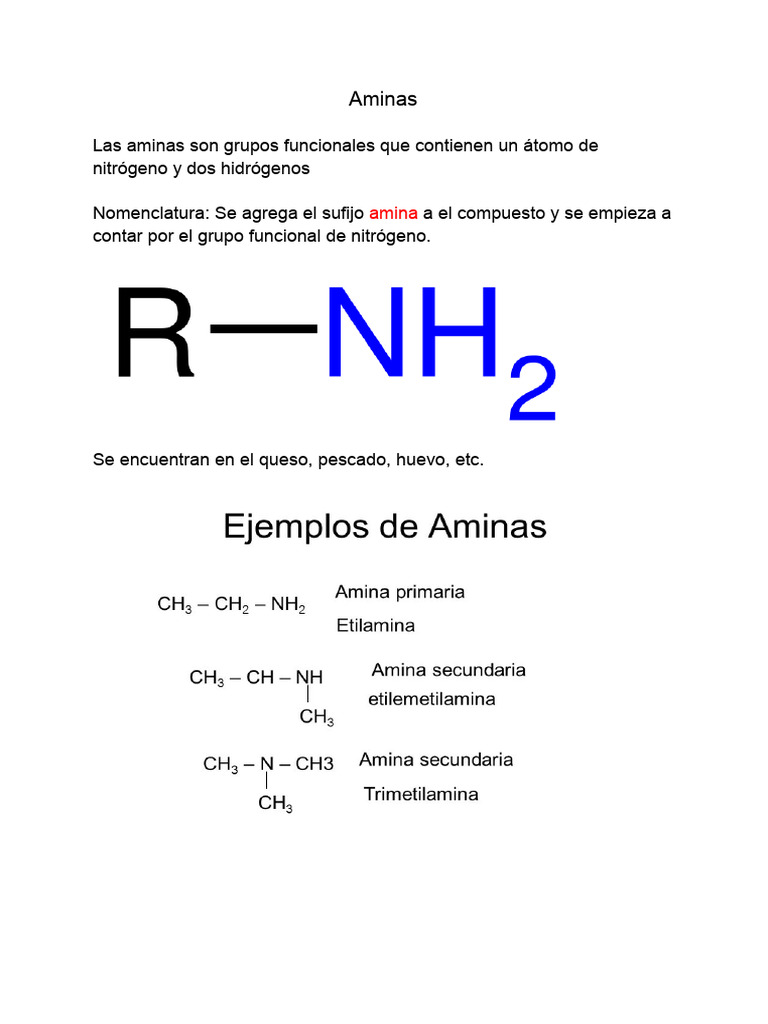 Ejemplos de Aminas en Alimentos | PDF