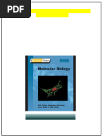 IGenetics A Molecular Approach 3rd Edition Peter J Russell Digital ...