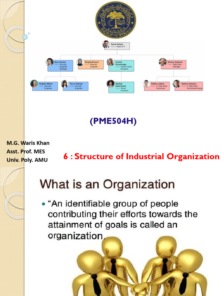 Structure of Industrial Organization | PDF