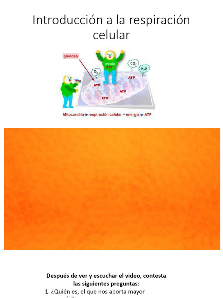 1 Introducción a la respiración celular | PDF