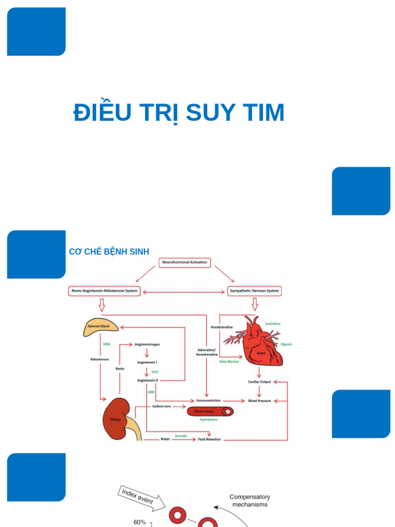 Suy Tim | PDF