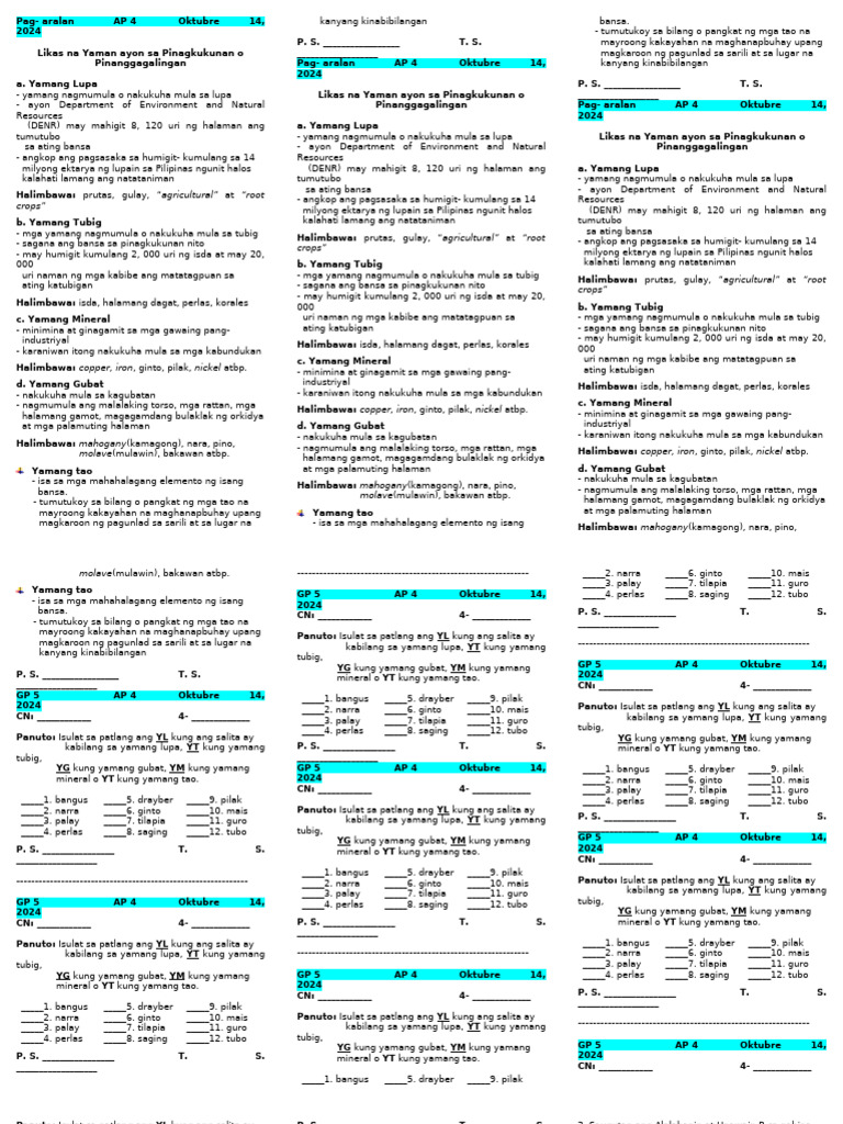 Grade 4 AP SN Likas Na Yaman Ayon Sa Pinagkukunan October 14, 2024 | PDF