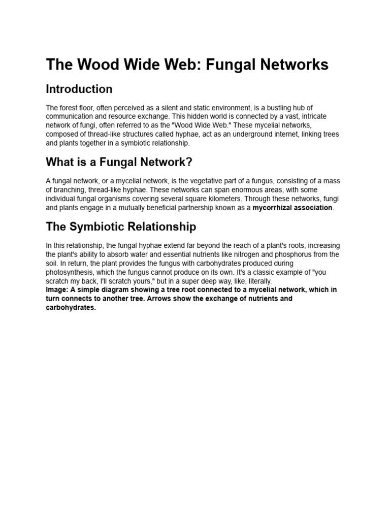 The Wood Wide Web: Fungal Networks Explained | PDF