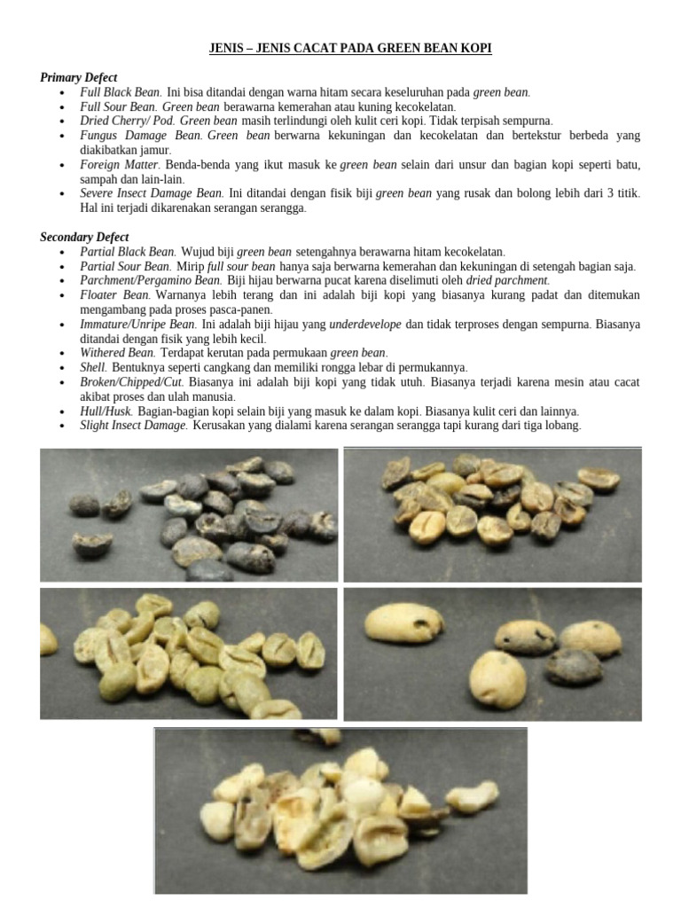 Defect Pada Green Bean Kopi | PDF