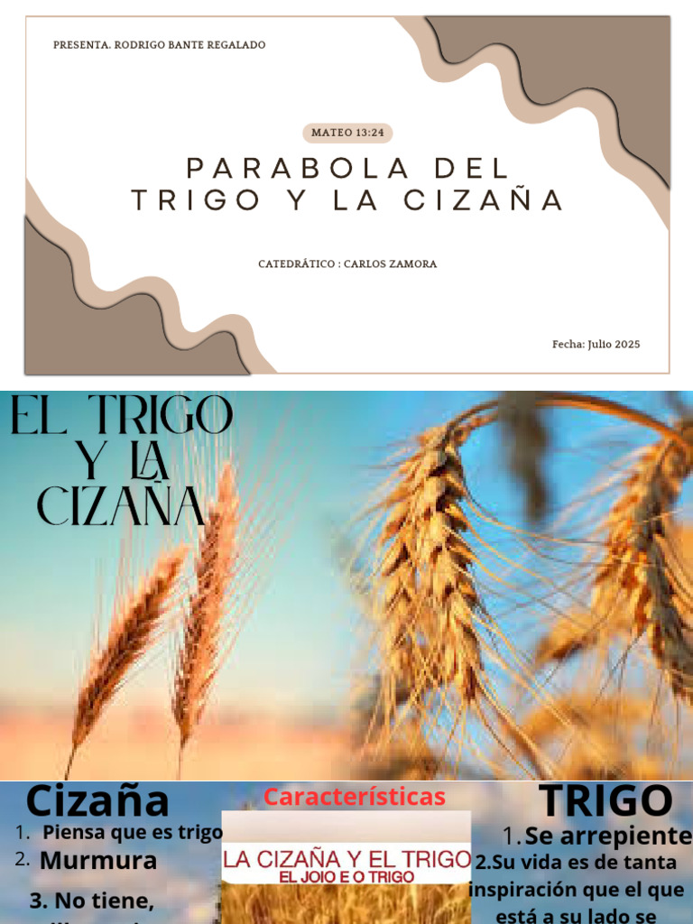 El Trigo y La Cizaña | PDF