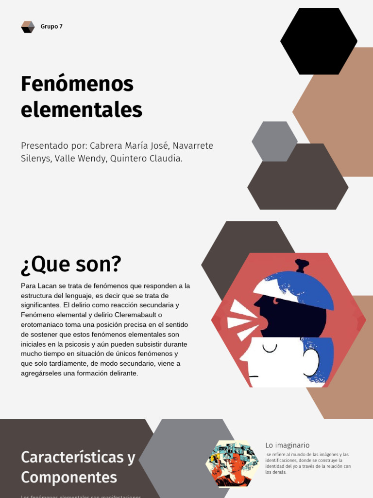 Fenómenos Elementales | PDF | Jacques Lacan | Psicosis
