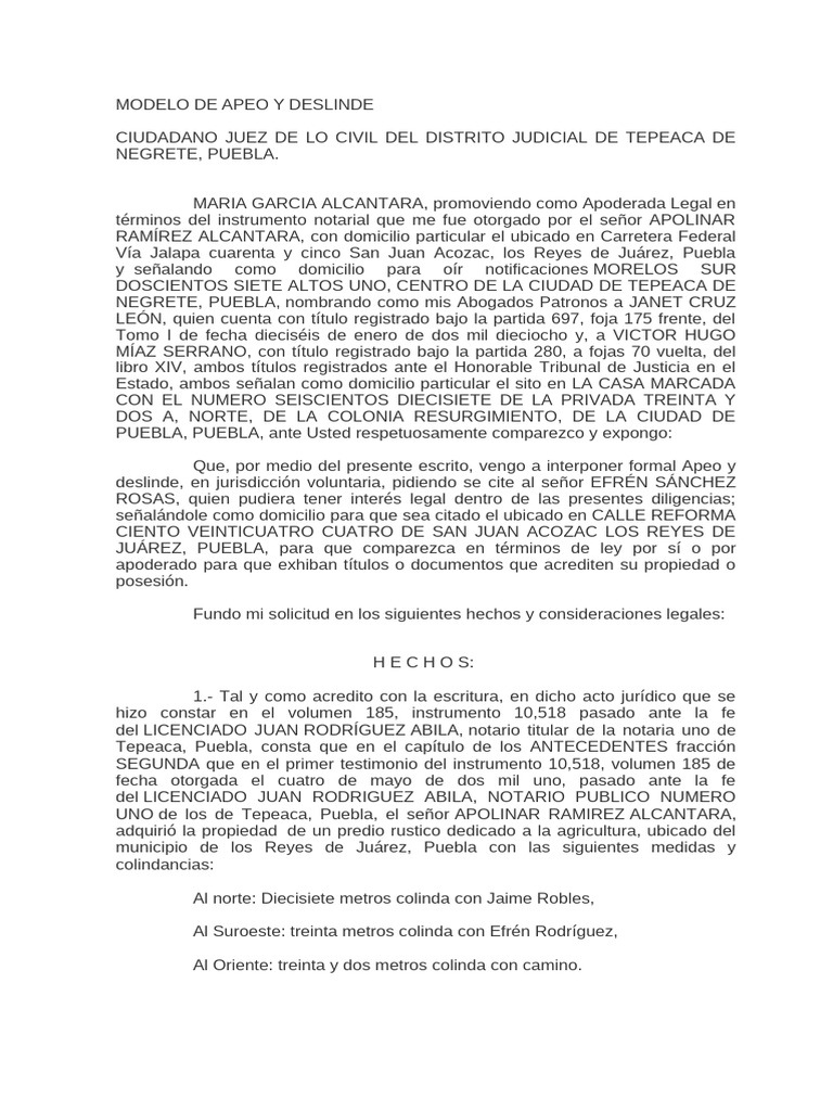 Apeo y Deslinde en Puebla | PDF | Ley común | Justicia