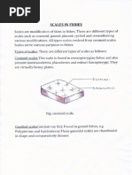 Types and Functions of Fish Scales | PDF | Fish | Aquatic Animals