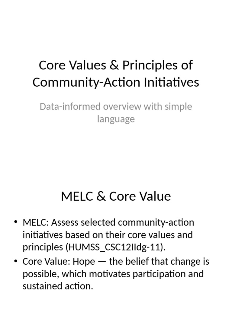 Community Action Initiatives Overview | PDF | Social Equality | Empowerment