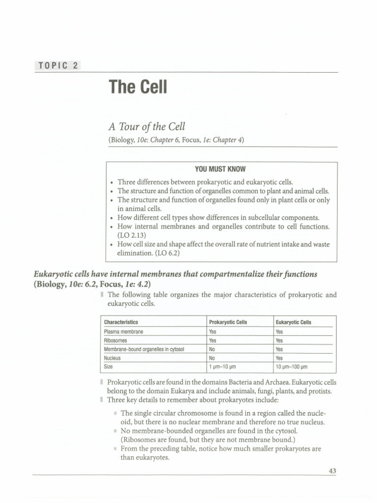 The Cell | PDF