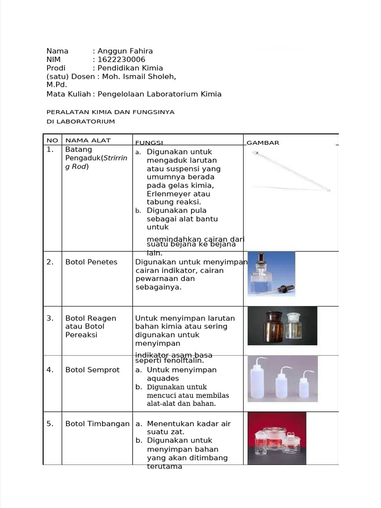 Alat Pemanas Bunsen di Laboratorium | PDF