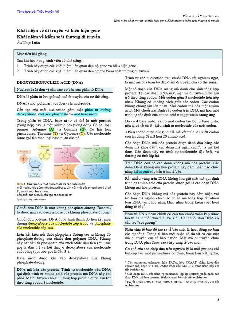 TBL Yhss | PDF