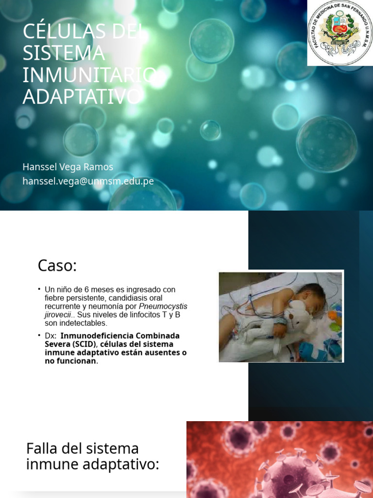 T14. Células Del Sistema Inmunitario Adaptativo HANSELL VEGA | PDF | Sistema inmune | Célula T