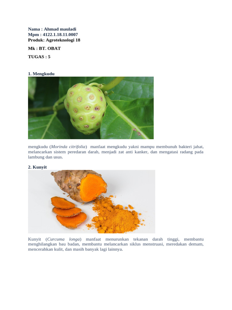 Tugas 5 BT TAN OBAT Ahmad Mauladi | PDF