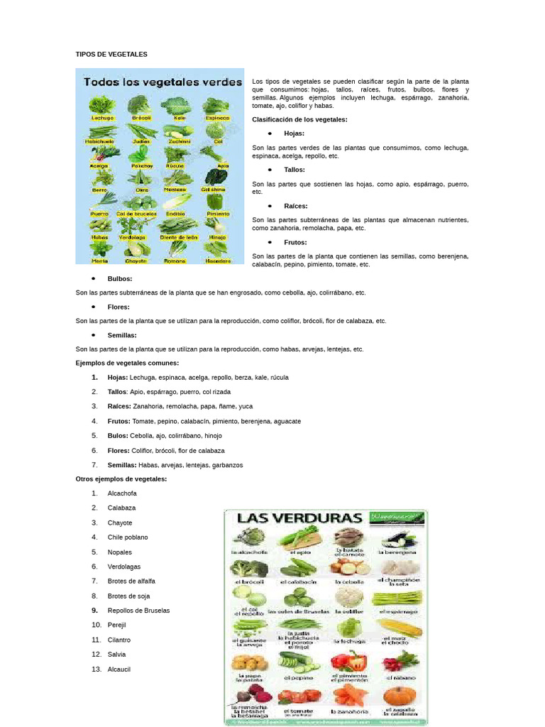 Clasificación de Vegetales por Parte | PDF | Vegetales | Repollo