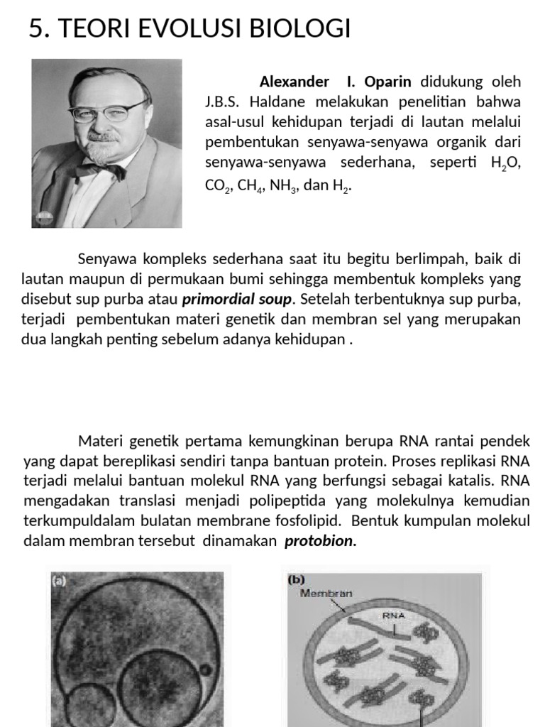 Asal Usul Kehidupan: Sup Purba dan Protobion | PDF