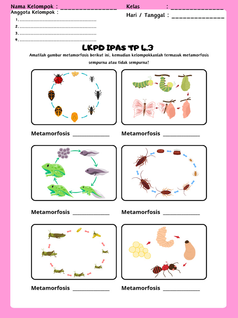 LKPD IPAS TP 4.3 Kelas 4 SD | PDF