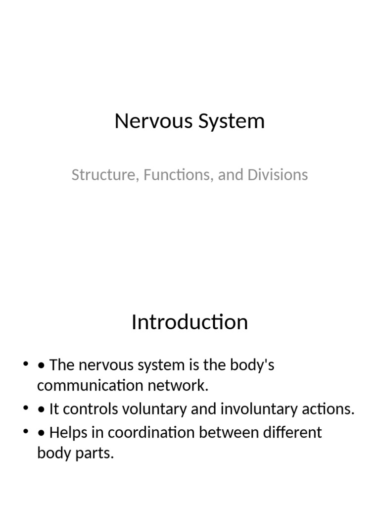 Nervous System Presentation | PDF