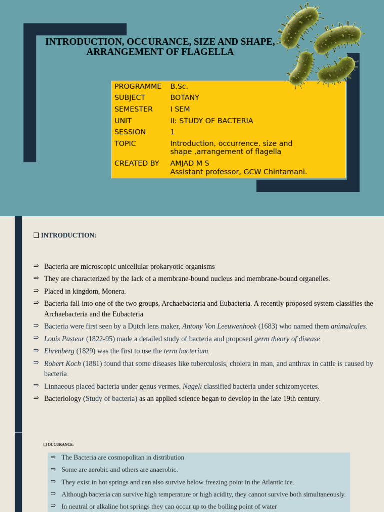 Bacterial Characteristics and Flagella | PDF | Bacteria | Microscopy