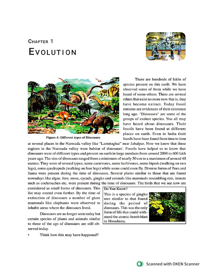 evolution (1) | PDF