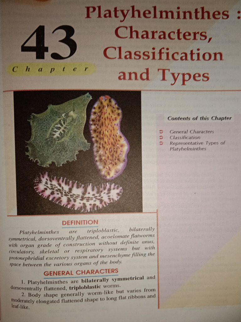 Platyhelminthes (1) | PDF
