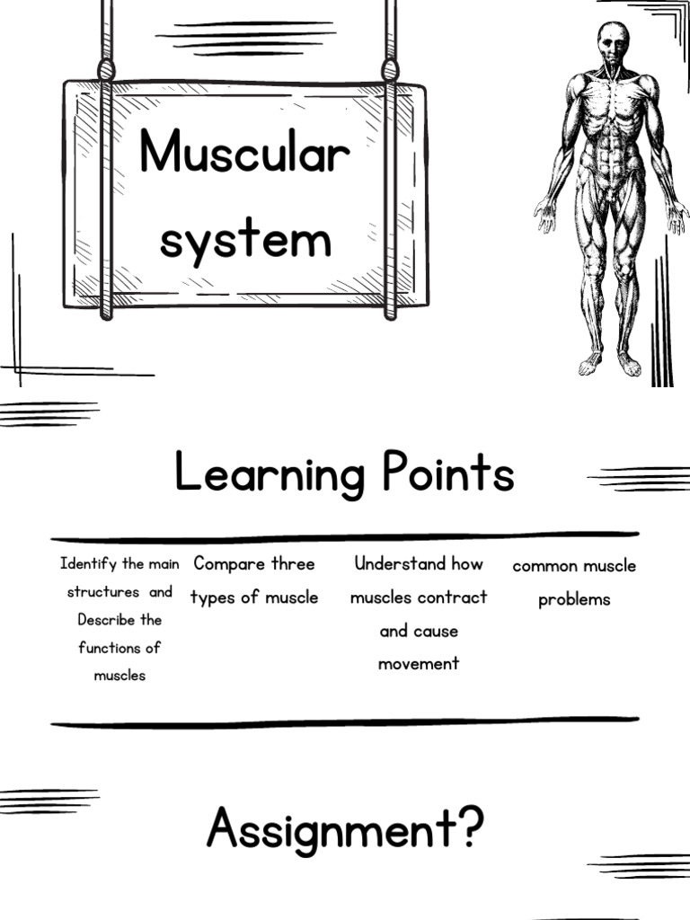 Muscular System Overview and Functions | PDF | Skeletal Muscle | Muscle ...