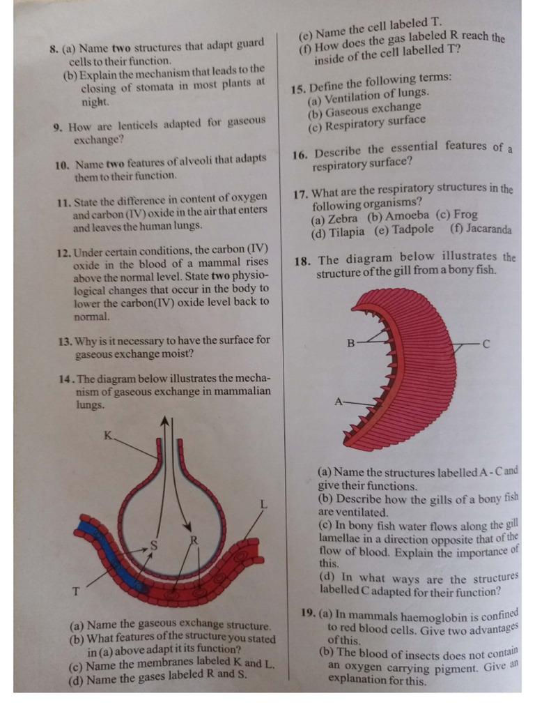 Biology f3 Assgn | PDF