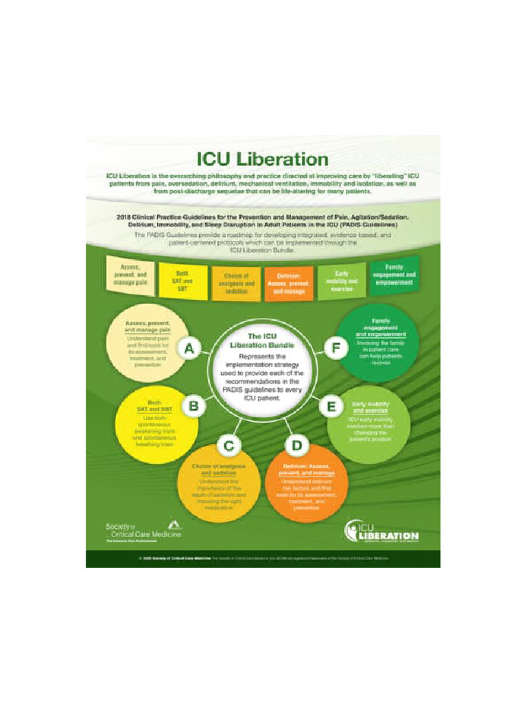 New Document From ICU Liberation - ABCDES Bundle | PDF