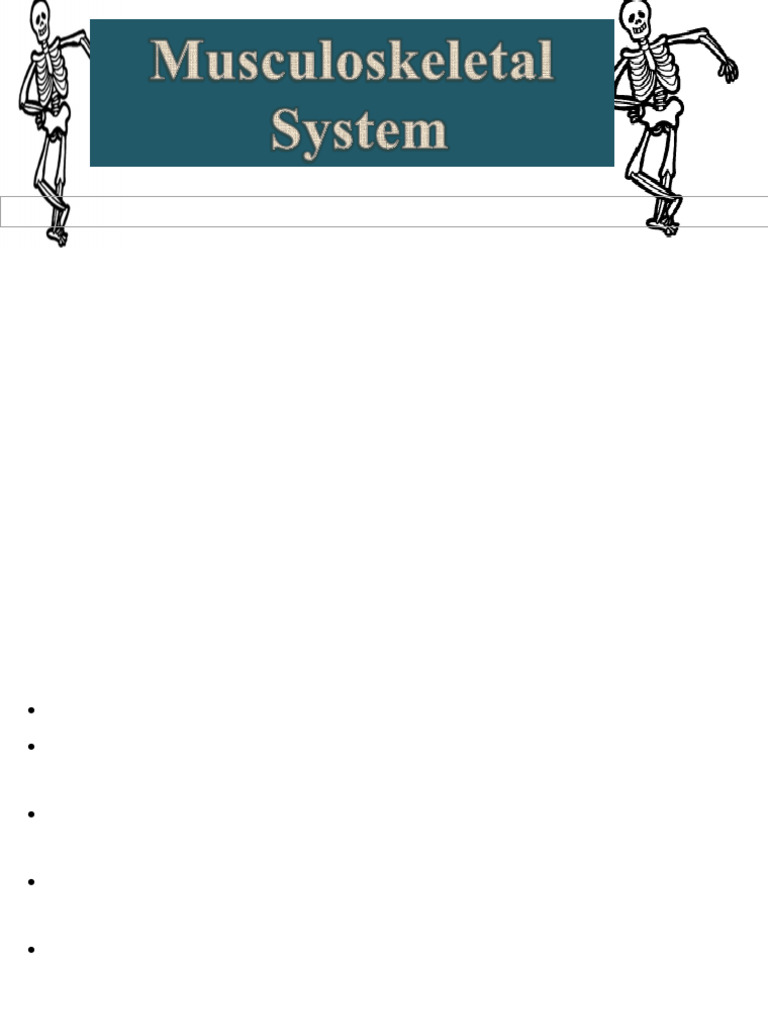 Musculoskeletal System Assessment Guide | PDF | Anatomical Terms Of ...