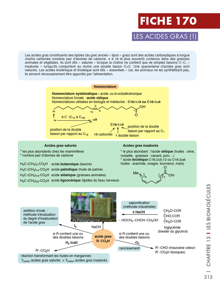 Classification des acides gras essentiels | PDF | Acide gras | Acide ...