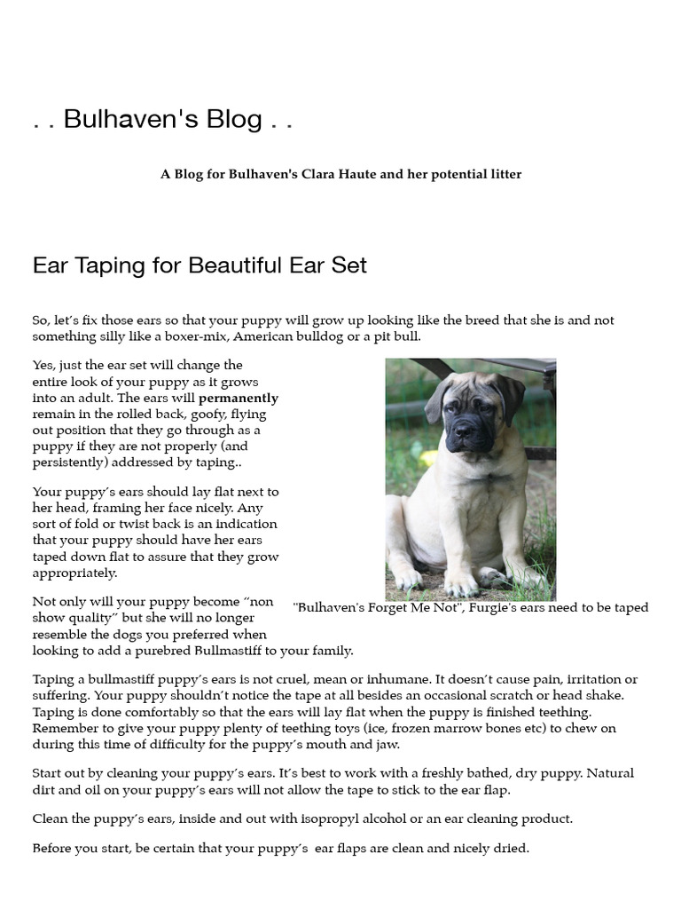 Ear Taping For Beautiful Ear Set | PDF | Subspecies Of Canis Lupus | Dogs