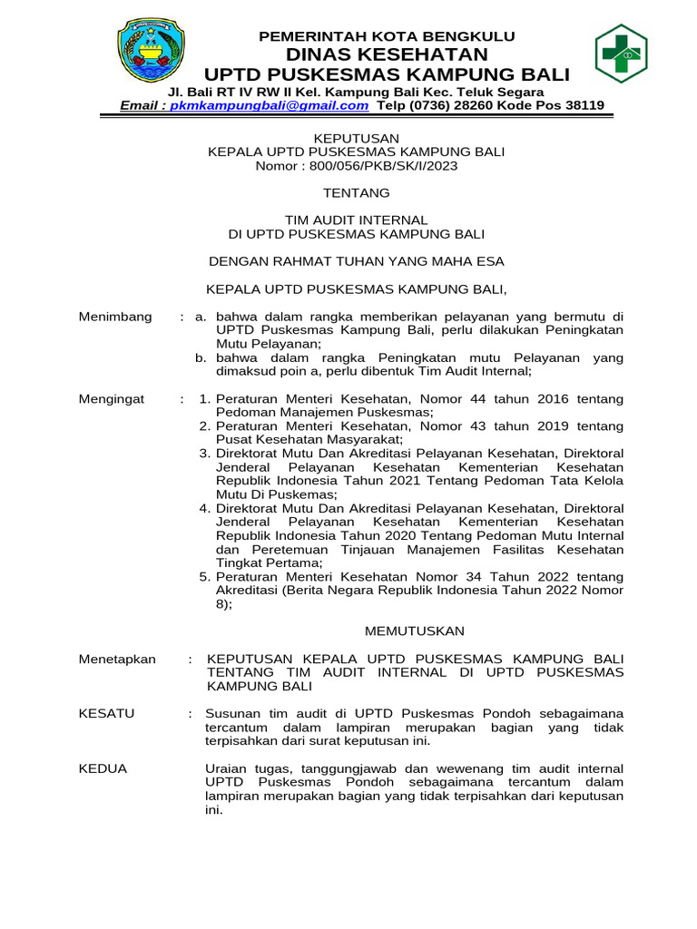 Pembentukan Tim Audit Internal Puskesmas | PDF