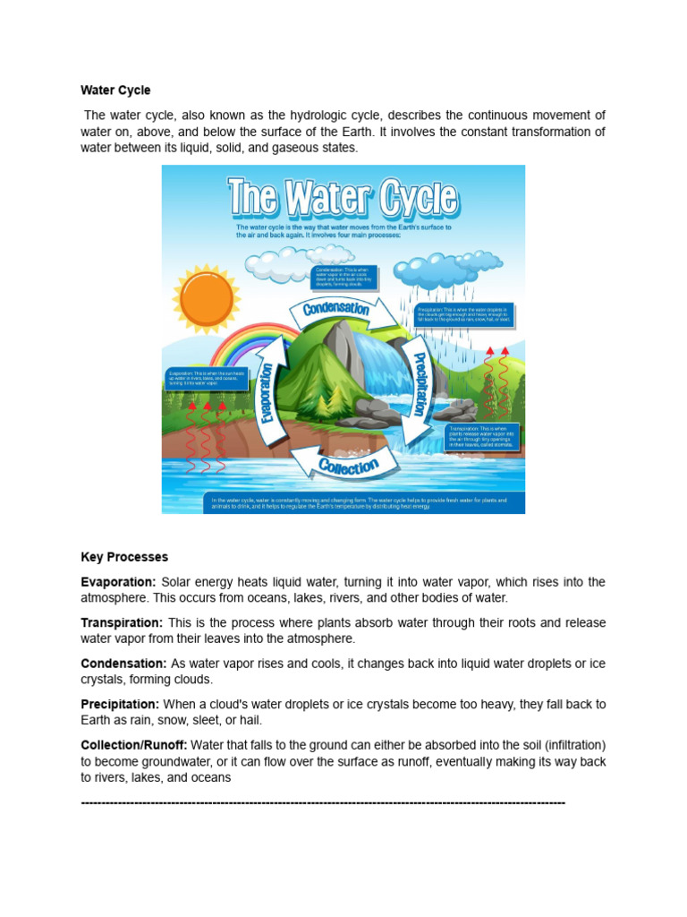 Water, Carbon and Nitrogen Cycle | PDF | Nitrate | Water