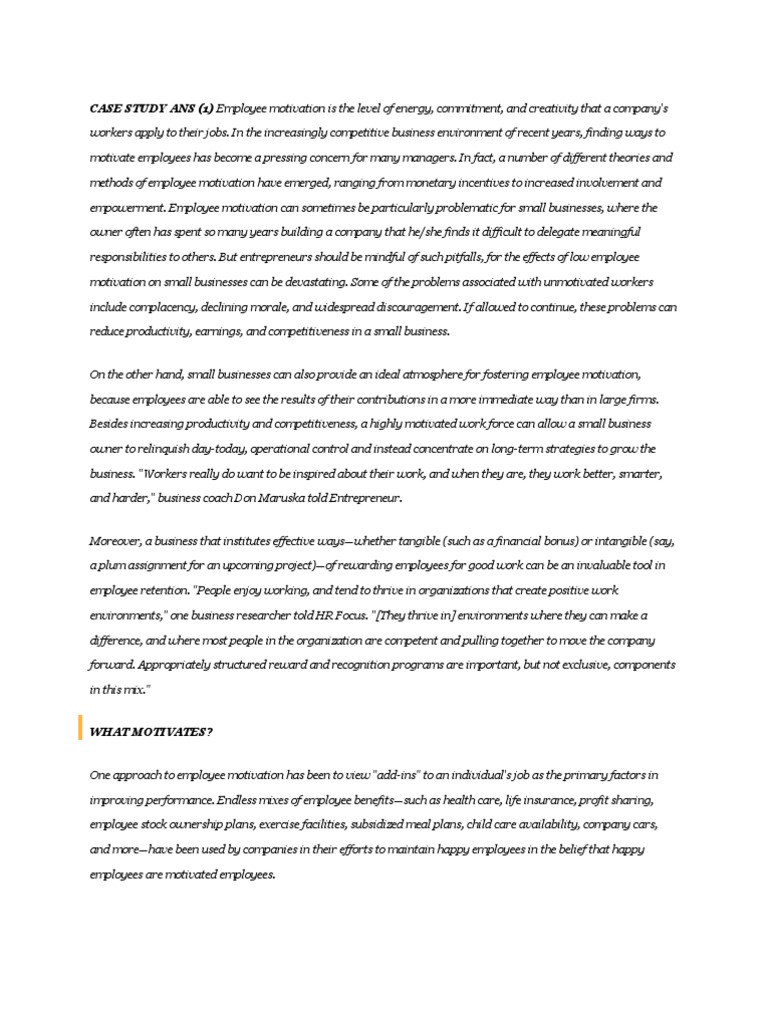 CASE STUDY ANS (1) Employee Motivation Is The Level of Energy ...