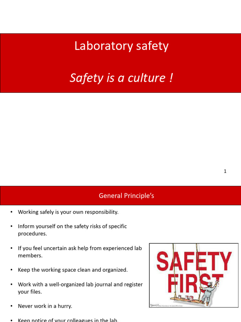 Essential Laboratory Safety Guidelines | PDF | Hydrogen Peroxide ...