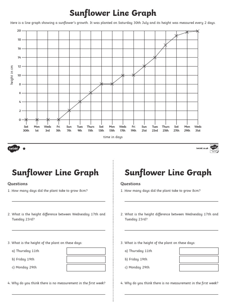 Sunflower Line Graph Differentiated Activity Sheets Ver 8 Gr8 | PDF