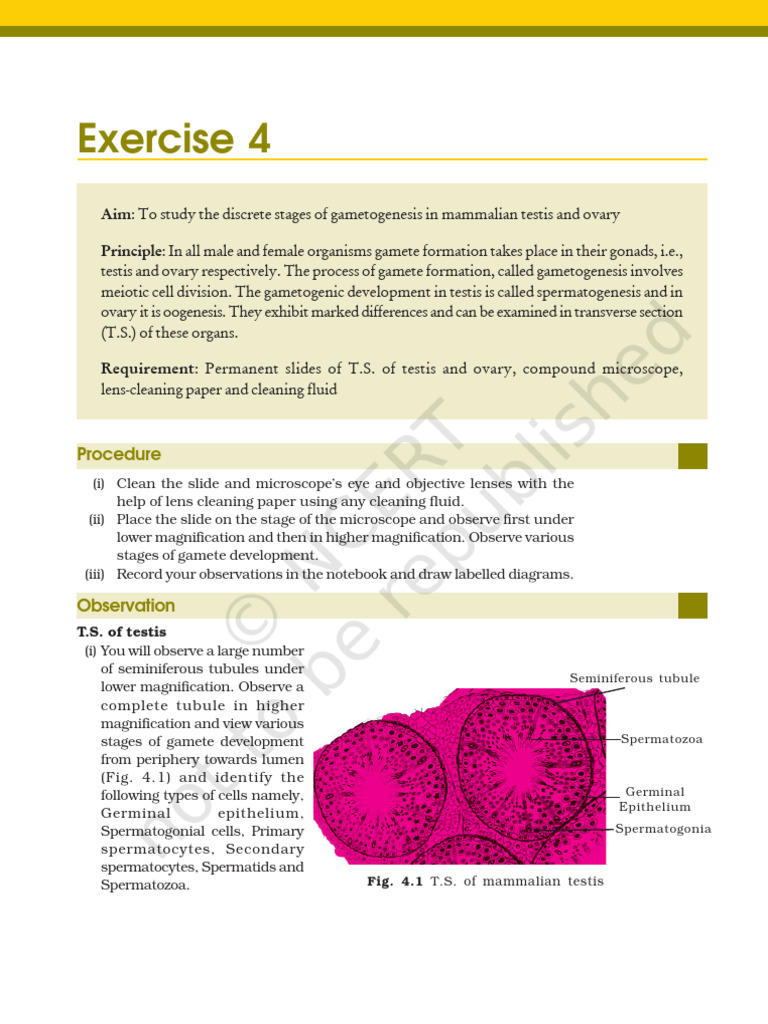 4,5-ch.pmd | PDF | Biological Interactions | Plant Reproduction