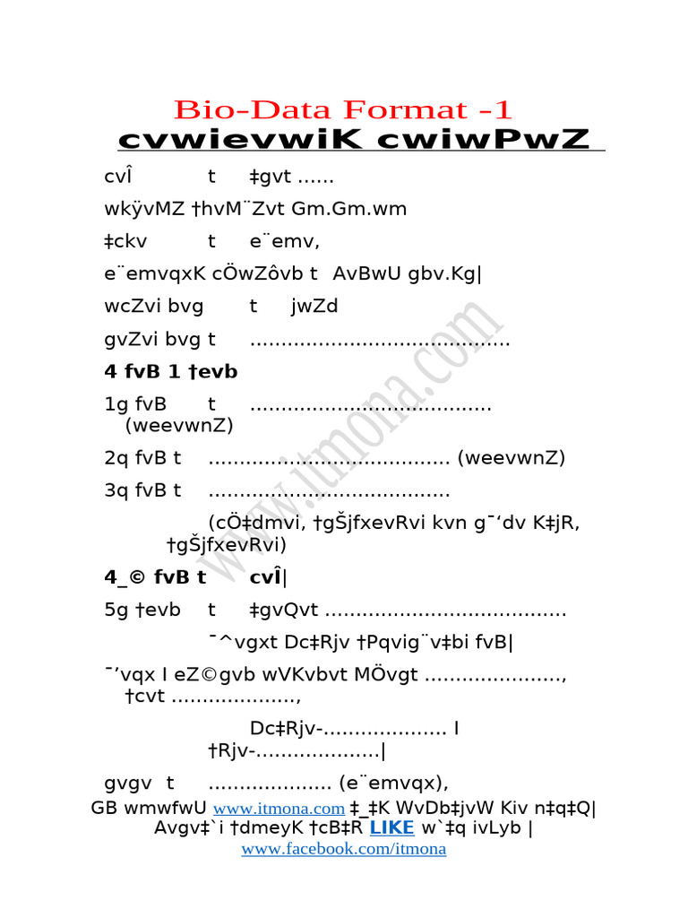 3 Marriage CV Format Word File Download ( | PDF