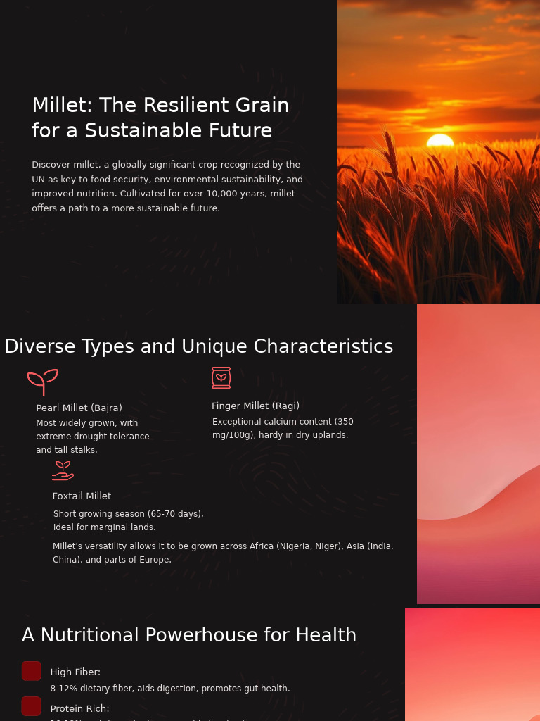 Millet The Resilient Grain For A Sustainable Future | PDF