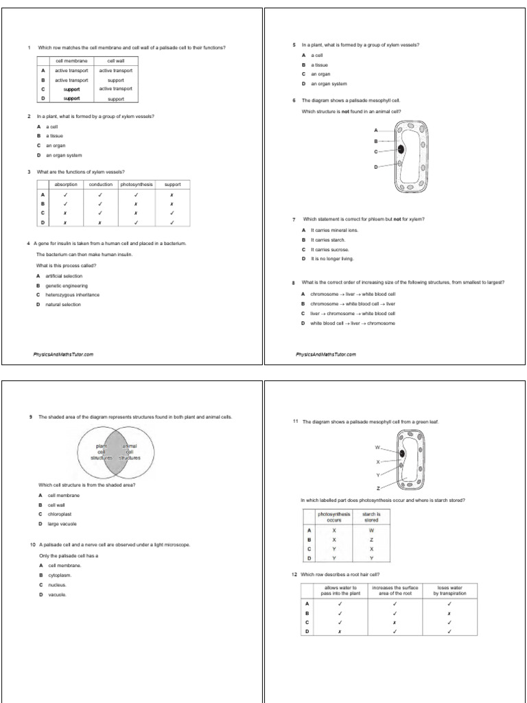 Organisation of The Organism (Multiple Choice) 1 QP (5 Files Merged ...