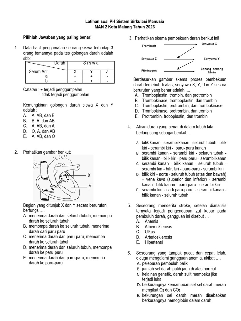 Latihan PH Sistem Sirkulasi Manusia Bio 2023 | PDF